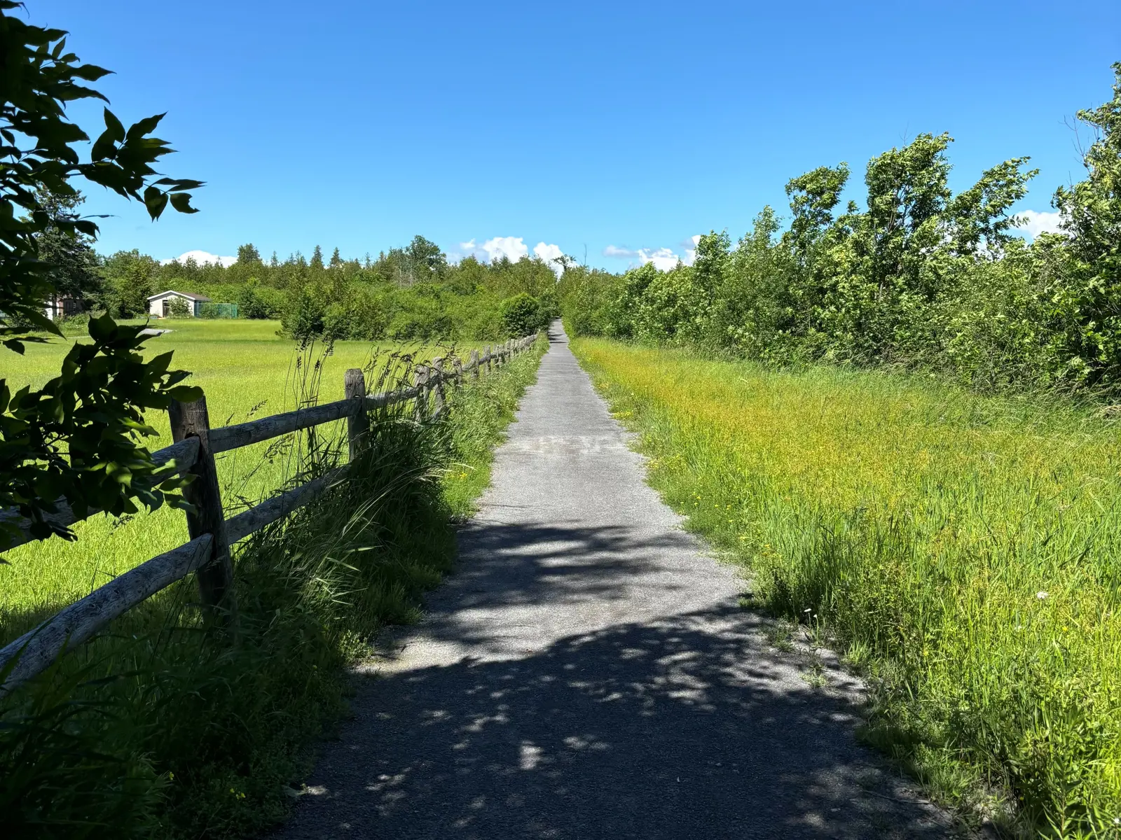 Trails | Mississippi Mills