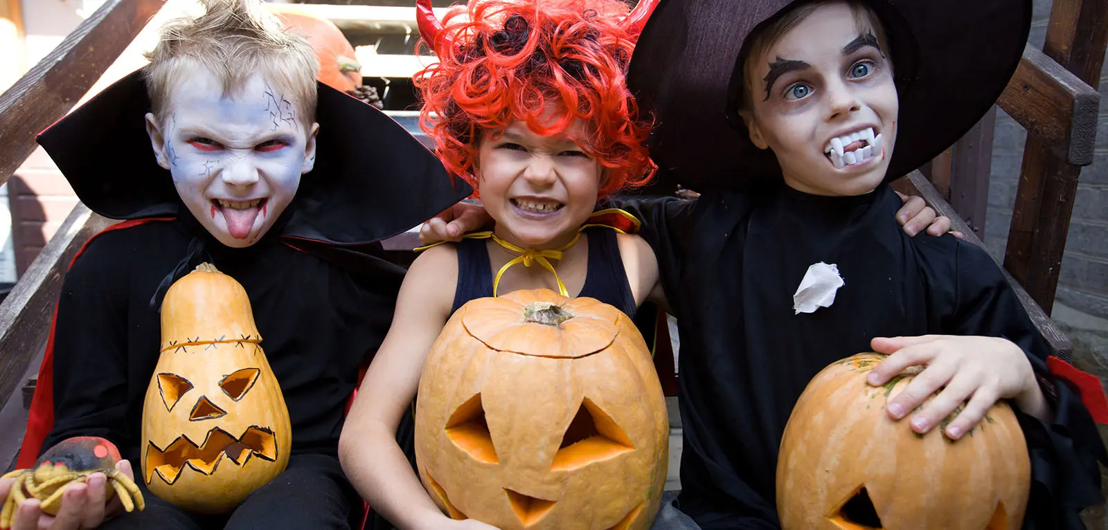 Board Vacancy – Provincial Appointees for Lanark County OPP Detachment ...